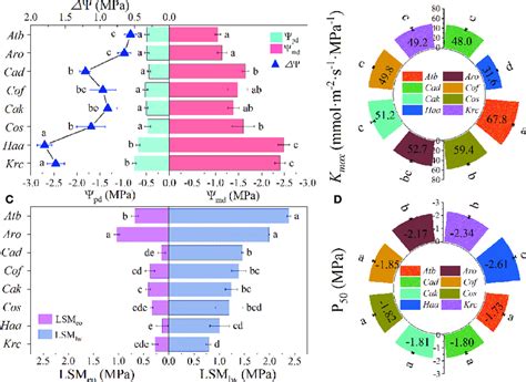 Leaf Hydraulic Functional Traits Of Desert Shrubs A Leaf Water Download Scientific Diagram