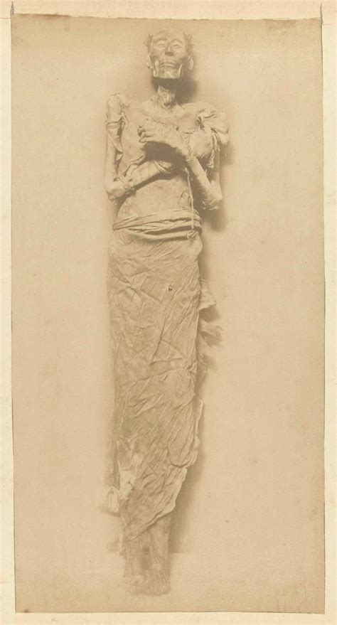 Mummy Of Ramesses Ii Egypt Museum