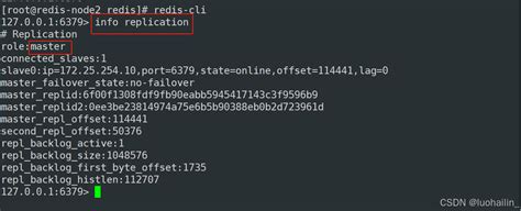 企业级nosql数据库redis集群 Csdn博客