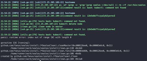clean panic · issue 749 · labring sealos · github