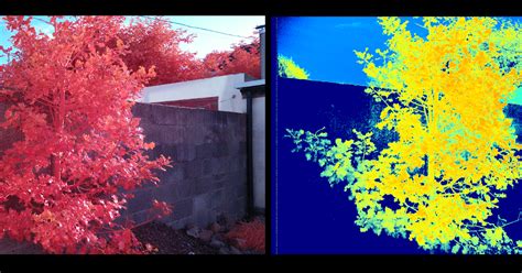 Muonray Ndvi Vegetation Mapping Project With A Nir Converted Mavic 2 Pro Drone
