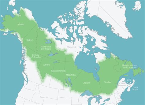 The Boreal Forest Map Map Of The Boreal Region And Boreal Forests Of