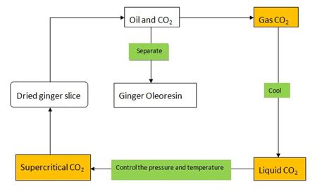 Where To Buy Ginger Oleoresin Manufacturer Andsuppliers