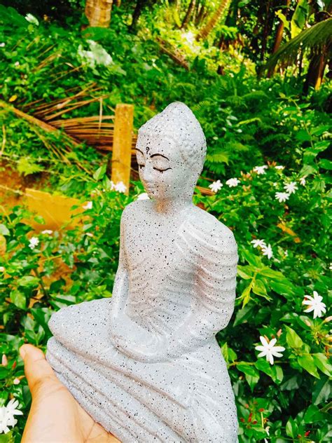 Whiskey Barrels For Sale In Kotagala Town Sri Lanka Facebook Marketplace