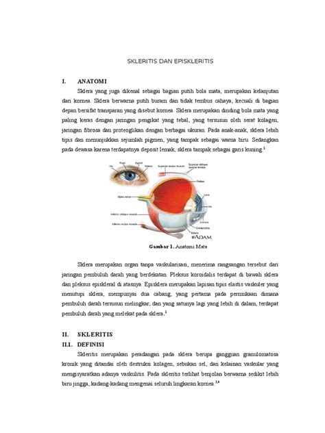 Skleritis Dan Episkleritis Pdf