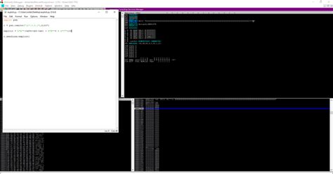 Dostackbufferoverflowgood Buffer Overflow Shellcoding Tomorrowisnew