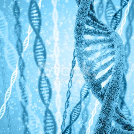 Digital Illustration Dna Structure Stock Photo Royalty Free Freeimages