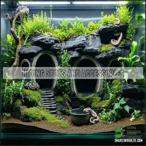 Ball Python Tank Size Pro Secrets For The Perfect Habitat Setup