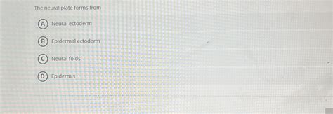 Solved The Neural Plate Forms Fromneural Ectodermepidermal