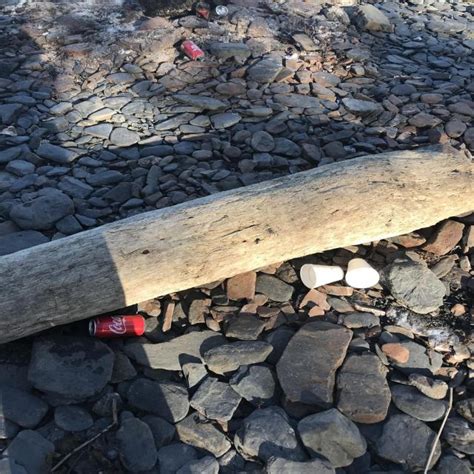 Trashdetectionmodel Object Detection Dataset By Trashdetectionmodel