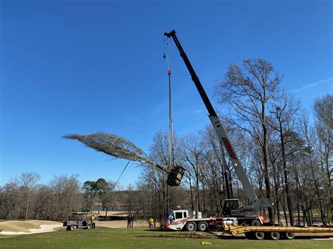 Urban Forestry Works National Tree Farm And Supply