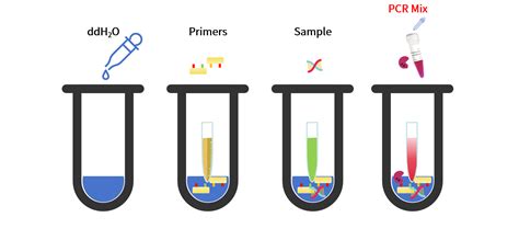 Free Guide Top 5 Pcr Optimization Tips