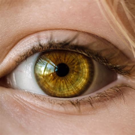 Amber Eyes Natures Rare And Stunning Gem