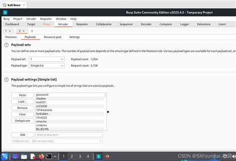 kali linux中burpsuite工具爆破密码详解 burp suite linux启动 csdn博客