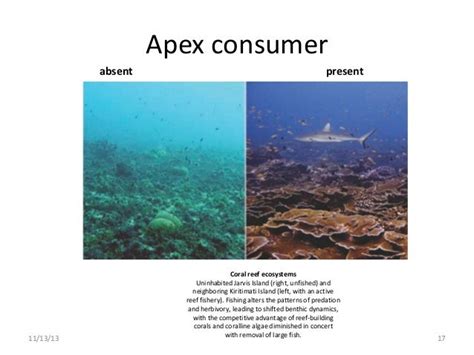 Trophic Downgrading Of Planet Earth