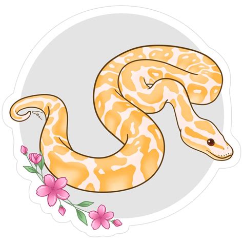 Albino Ball Python Floral Theme Sticker By Anacecilia In 2025