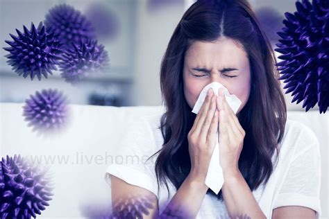Overcome Tips For Allergic Rhinitis Through Homeopathy Livehomeo