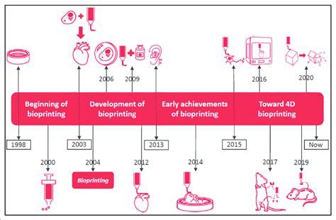 Relevant Milestones In The Evolution Of Bioprinting 1998 Cell Growth