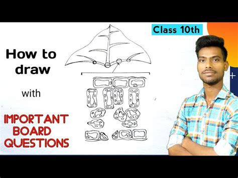 Draw A Well Labelled Diagram Of Cross Section Of Leaf Cl 100