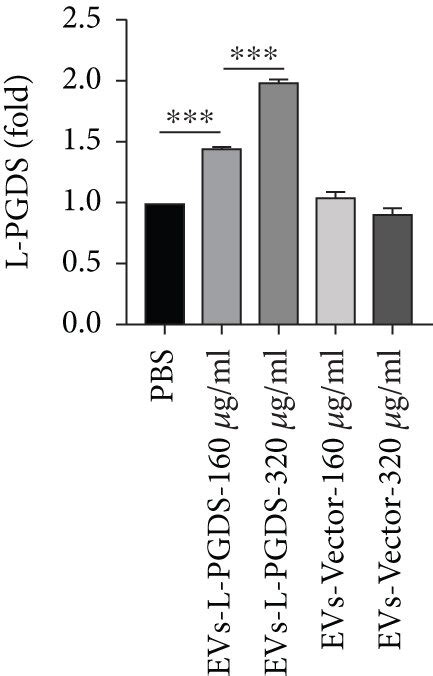 Evs L Pgds Increased L Pgds And Reduced Stem Cell Marker Expression And Download Scientific