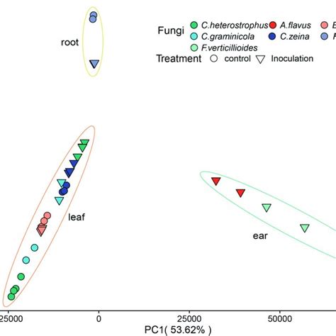 Principal Component Analysis Of Rna Seq Data The Treatment Conditions