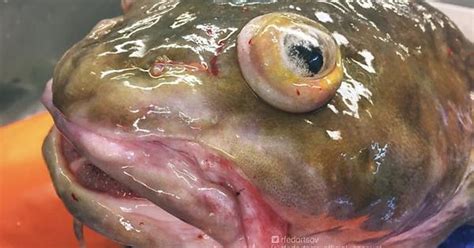 Ack Album On Imgur Ack Album On Imgur