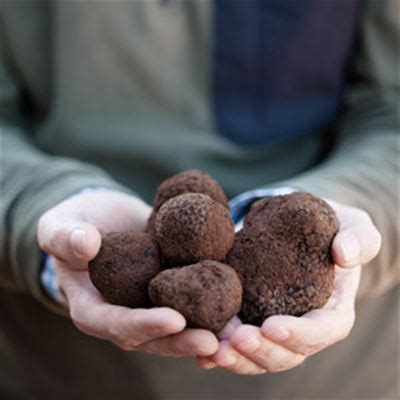 How To Get Your Truffle Fix This Season Order Australian Truffles Online AGFG