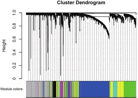 Gene Cluster Tree The Upper Part Of The Figure Is A Diagram Of The