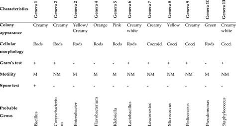Bacterial Morphology Chart