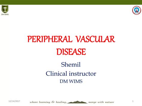 Peripheral Vascular Disease Pptx