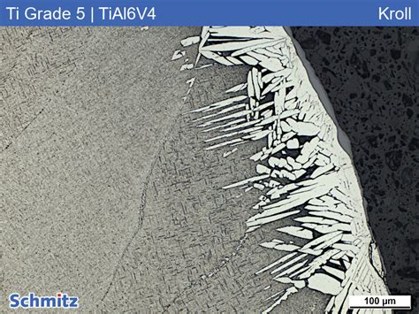 What Is Grade 5 Titanium At Roger Monday Blog