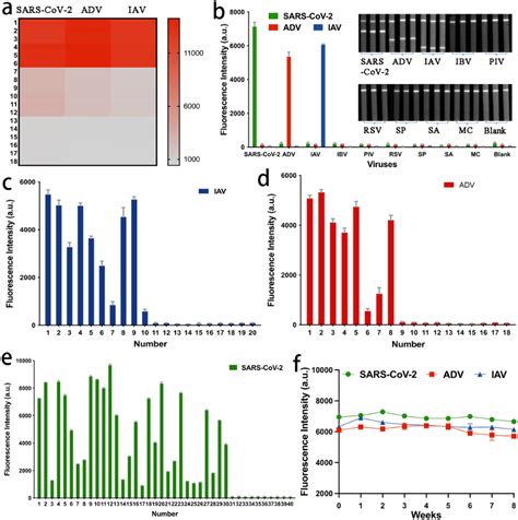 Frontiers Simultaneously Ultrasensitive And Differential Detection Of Sars Cov 2 Adenovirus