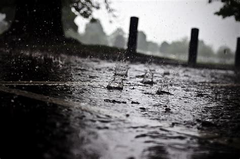 Rain Free Stock Photo Public Domain Pictures