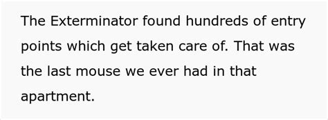 Maintenance Asks Tenant To Provide Proof Of Mouse Infestation By Bringing What They Catch To