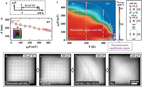 State Diagram Of The Metastable Antiskyrmion Lattice A Schematic Of