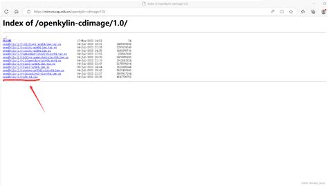在VMware上安装配置openKylin操作系统详细教程图文教程 vmware安装openkylin CSDN博客