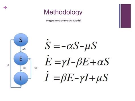 Epidemiological Modelling Of Teenage Pregnancy In Puerto Rico In 2008 Ppt