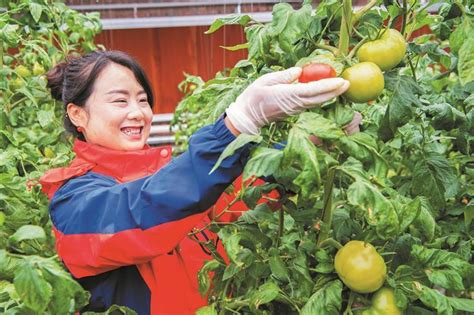 科技惠农 助力乡村振兴 科技惠农 助力乡村振兴