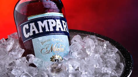 Campari: The Ultimate Bottle Guide