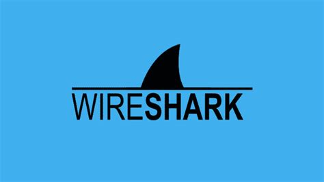 What Is Wireshark In Kali Linux Machineskse