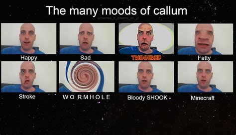The Many Moods Of Sergeant Sex Offender Rcallumsarmy