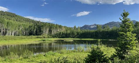 Willow Lake Trails Utah 5515 Reviews Map Alltrails