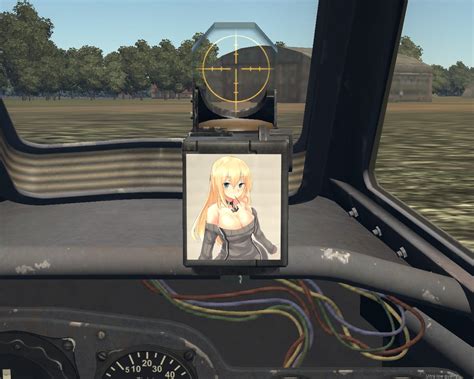 Wt Live Camouflage By A Kestrel