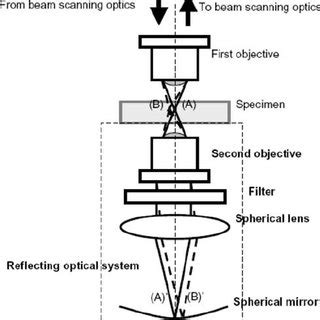 Geometry And Notation Used For The Numerical Calculations Download Scientific Diagram