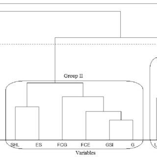 Dendrogram Resulting From The Hierarchical Cluster Analysis By The