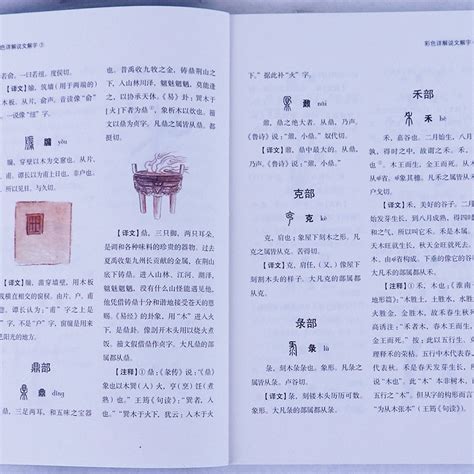 正版现货彩色详解说文解字全4册原文 译文 注释烫金详解图解语言文字古代汉语字典画说汉字新华书店正版畅销书籍博库网 虎窝淘