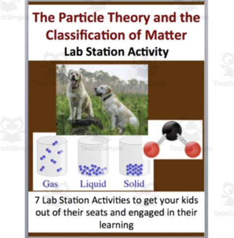 Particle Theory And Matter Classification Lab Station Activity By Teach Simple