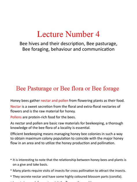 lecture bee hives and their description bee pasturage bee foraging