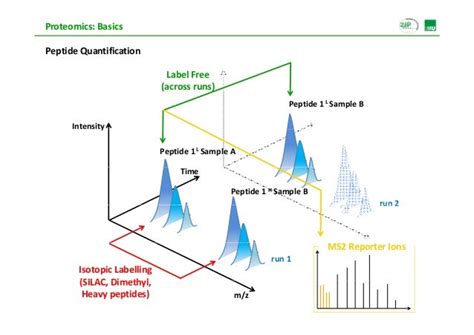 Proteomics Analysis Basics And Applications