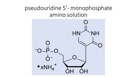 Pseudouridine 5′ Monophosphate Amino Solution Akonscientific